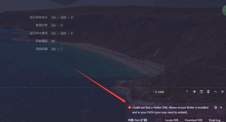 Windows上VSCode+Flutter、Dart安装配置（详细版+安装问题处理）_dart安装与服务器的连接被重置-CSDN博客