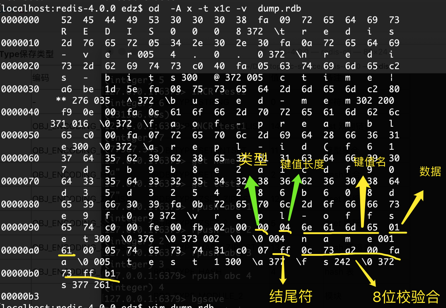 【Redis源码】轻松看懂rdb文件(四)_如何查看rdb文件-CSDN博客