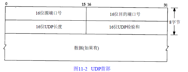 TCP-报文格式_tcp报文格式-CSDN博客