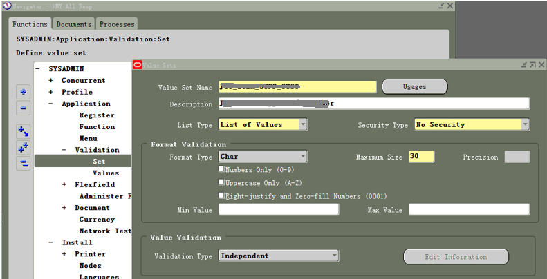 Oracle EBS 基础概念：值集_ebs值集-CSDN博客