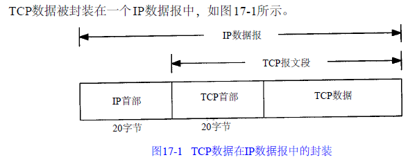TCP-报文格式_tcp报文格式-CSDN博客