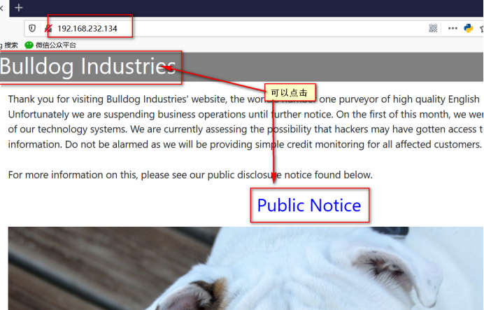 靶机实战-bulldog1_bulldog靶机-CSDN博客