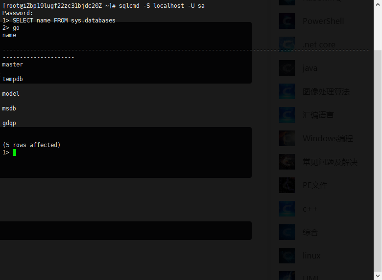 初识SqlServer_头歌sql server怎么评测-CSDN博客