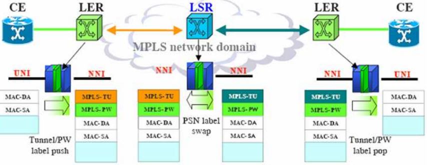 PTN简介-CSDN博客