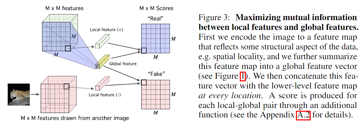 Learning deep representations by mutual information estimation and maximization-CSDN博客