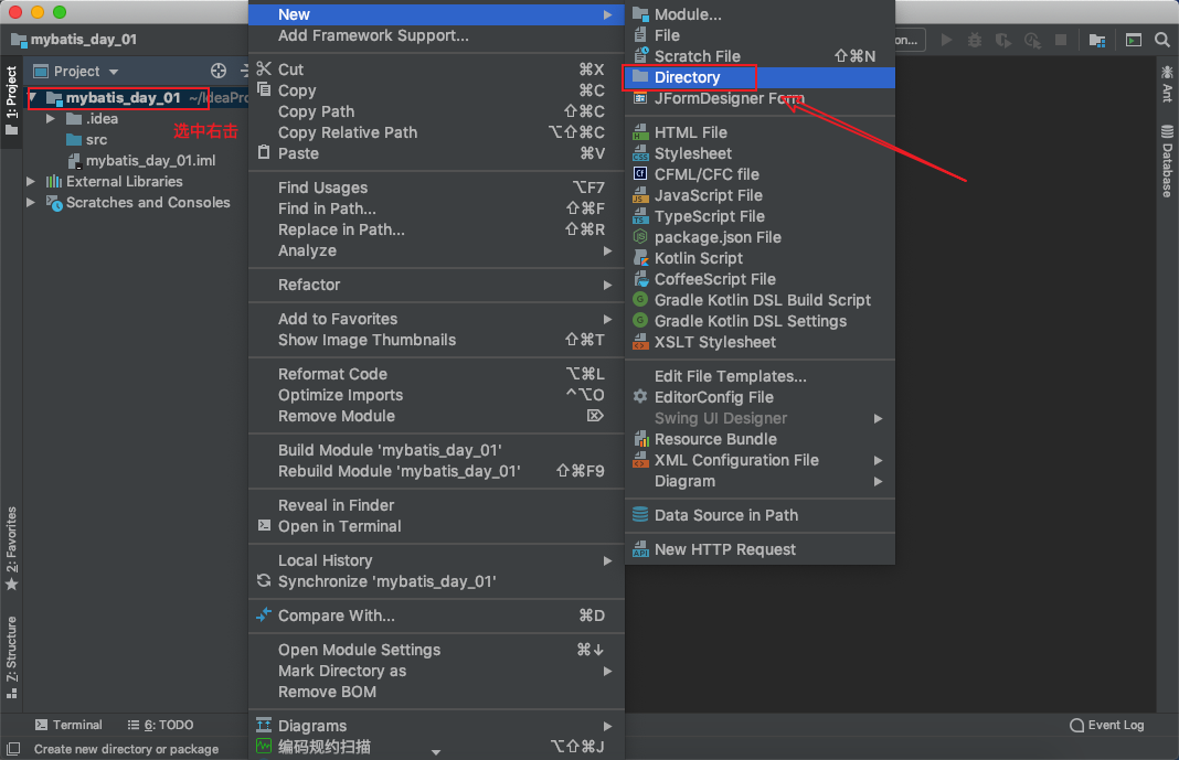 Mybatis框架之创建第一个项目（IDEA）_idea中lib文件夹标记-CSDN博客