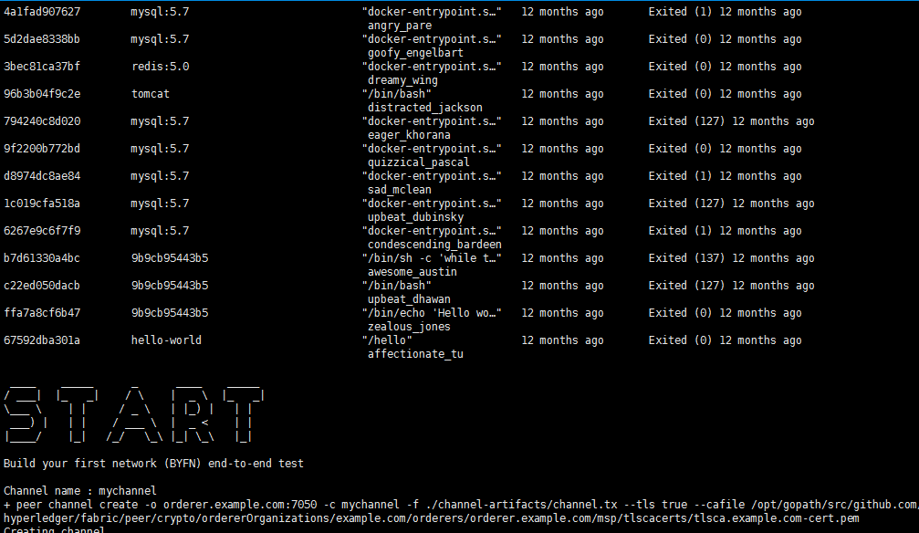 Hyperledger Fabric 1.4.3版本安装_fabric官方下载地址-CSDN博客