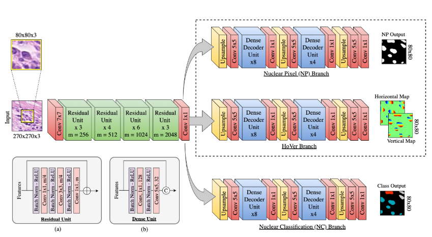 深度学习（u-net）在细胞核分割中的应用_unet细胞分割计数-CSDN博客