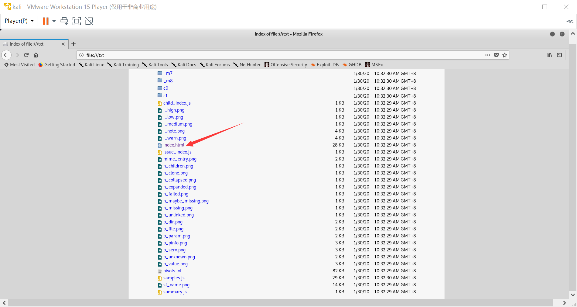 skipfish简单扫描测试_skipfish报告怎么看-CSDN博客