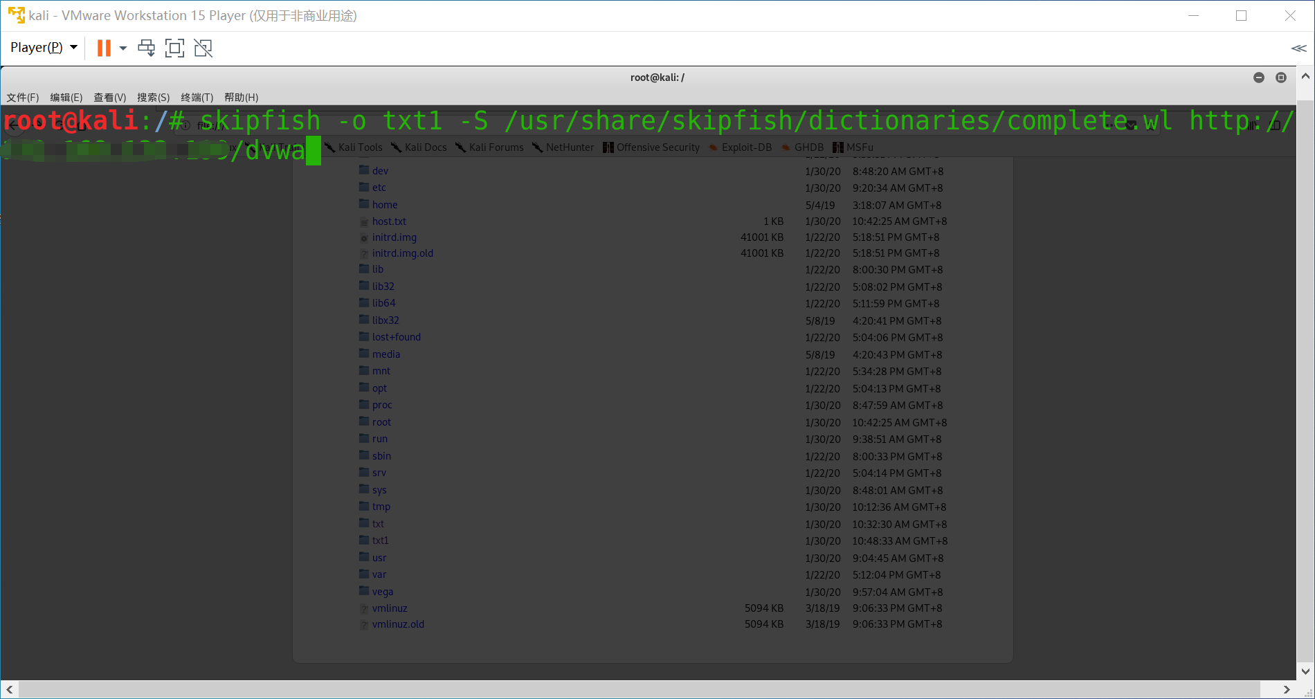 skipfish简单扫描测试_skipfish报告怎么看-CSDN博客