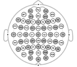 【EEG基础知识扫盲】EEG中的10-20和10-10标准导联是如何确定电极位置的？ - 程序员大本营
