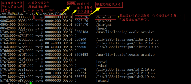 2基于proc的Linux进程控制块信息读取-实验1：测试proc文件系统的功能_linux进程控制块读取-CSDN博客