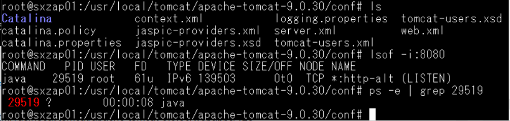 Linux中，Tomcat安装_liunx的apache-tomcat-9.0.30.tar-CSDN博客