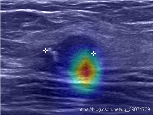 【卷积神经网络可视化】之热度图可视化 Visualizing Heatmaps Of Class Activation In An Ima