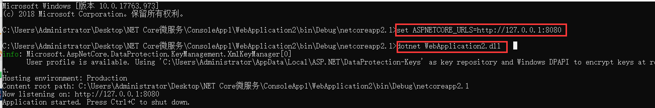 Net Core微服务：指定Web应用端口？WebApi?_webapplication 端口-CSDN博客