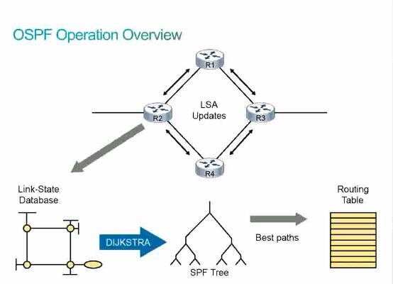 CCNP——OSPF协议详解及其支持的网络类型_ospf在网络层对应的协议号是-CSDN博客