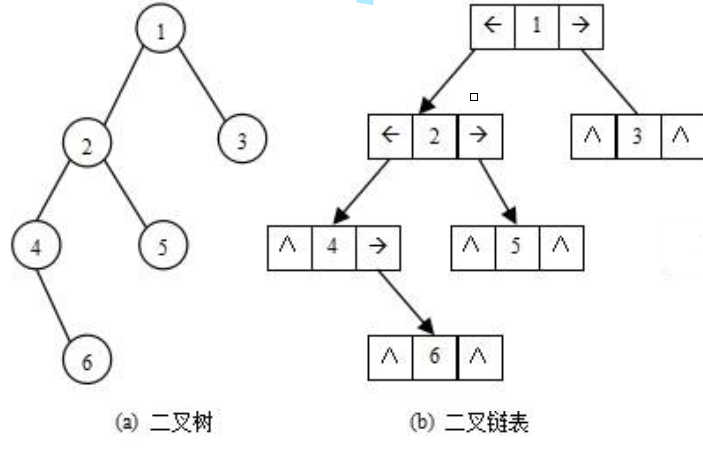 C语言 二叉树详解c语言中二叉树是什么意思 Csdn博客 