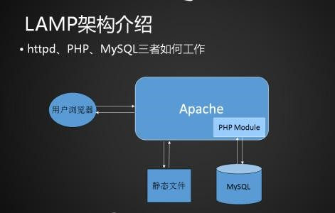 搭建 LAMP 部署分离_web应用软件组合lamp-CSDN博客