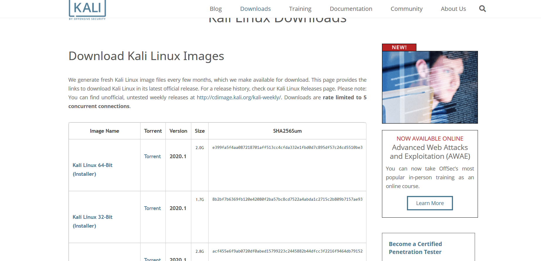 2020下载kali 安装详解_kali2020基于debian什么版本-CSDN博客