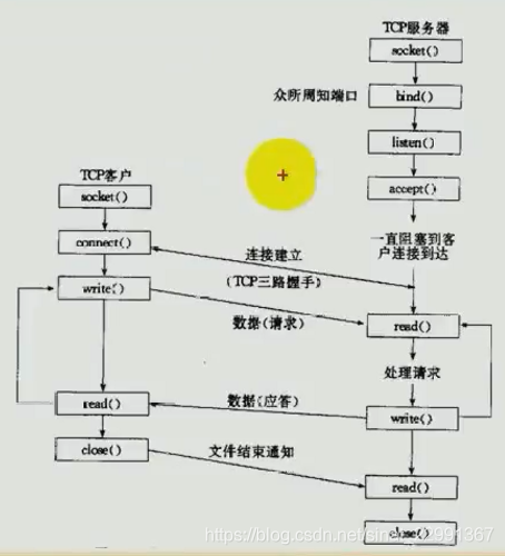 Socket网络编程一:回射客户服务器网络转发回射服务 Csdn博客