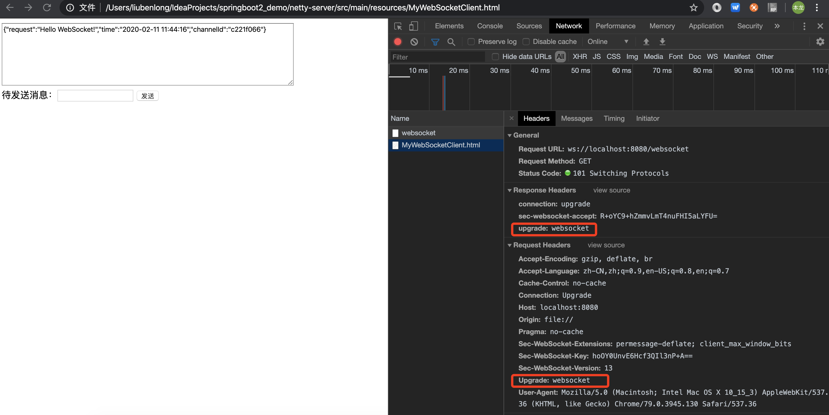 netty实现WebSocket协议_content: compositebytebuf(ridx: 243, widx: 243, ca-CSDN博客