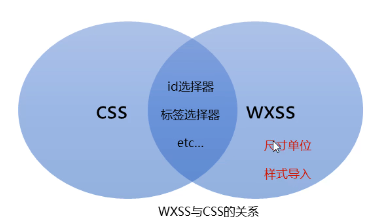 什么是wxss-CSDN博客