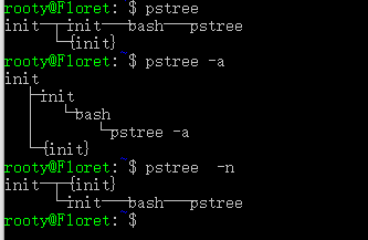 Ubuntu下查看进程PID & 终止进程方法汇总_ubuntu kill pid-CSDN博客