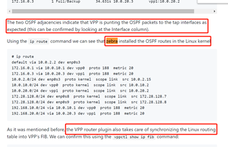 VPP与FRR通过Linux内核沟通机制调研(netns方式,非vrf)_vpp netns-CSDN博客