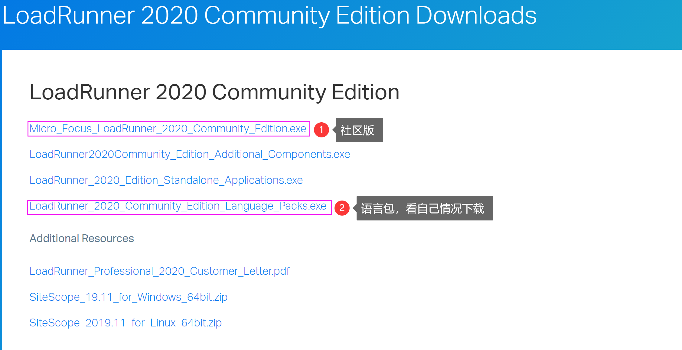 Loadrunner2020下载、安装步骤和简单使用 Loadrunner下载官网 Csdn博客