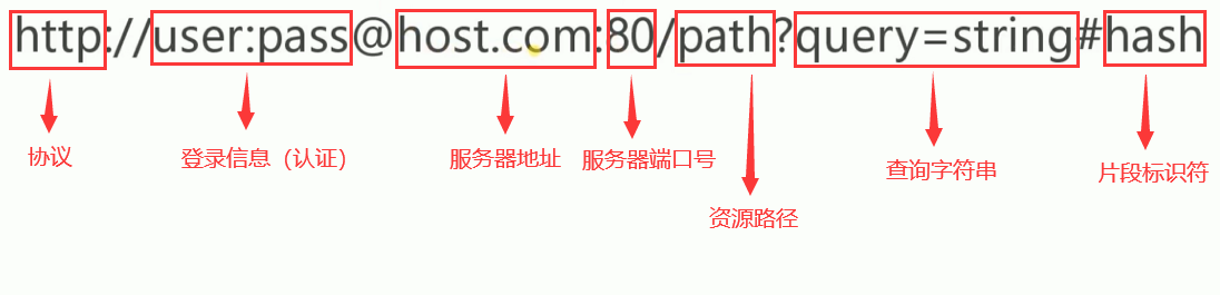 一文带你入门 HTTP 协议-CSDN博客