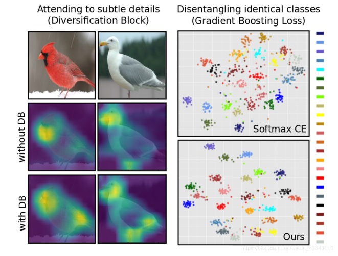 Fine Grained Recognition Accounting For Subtle Differences Between