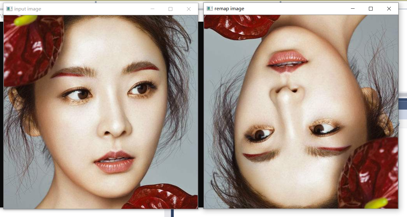 23-像素重映射_cv::remap-CSDN博客