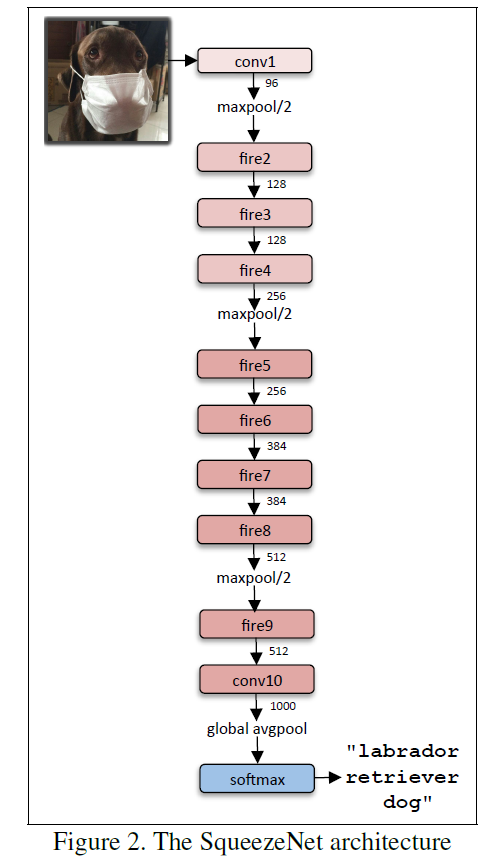轻量化神经网络篇（SqueezeNet、Xception、MobileNet、ShuffleNet）_squeezenet 谁提出的-CSDN博客