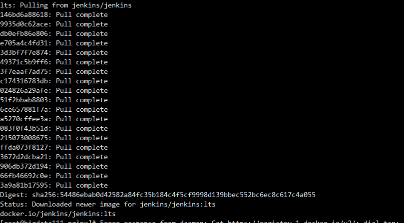 Error response from daemon: Get https://registry-1.docker.io/v2/: dial tcp: lookup registry-1 ...