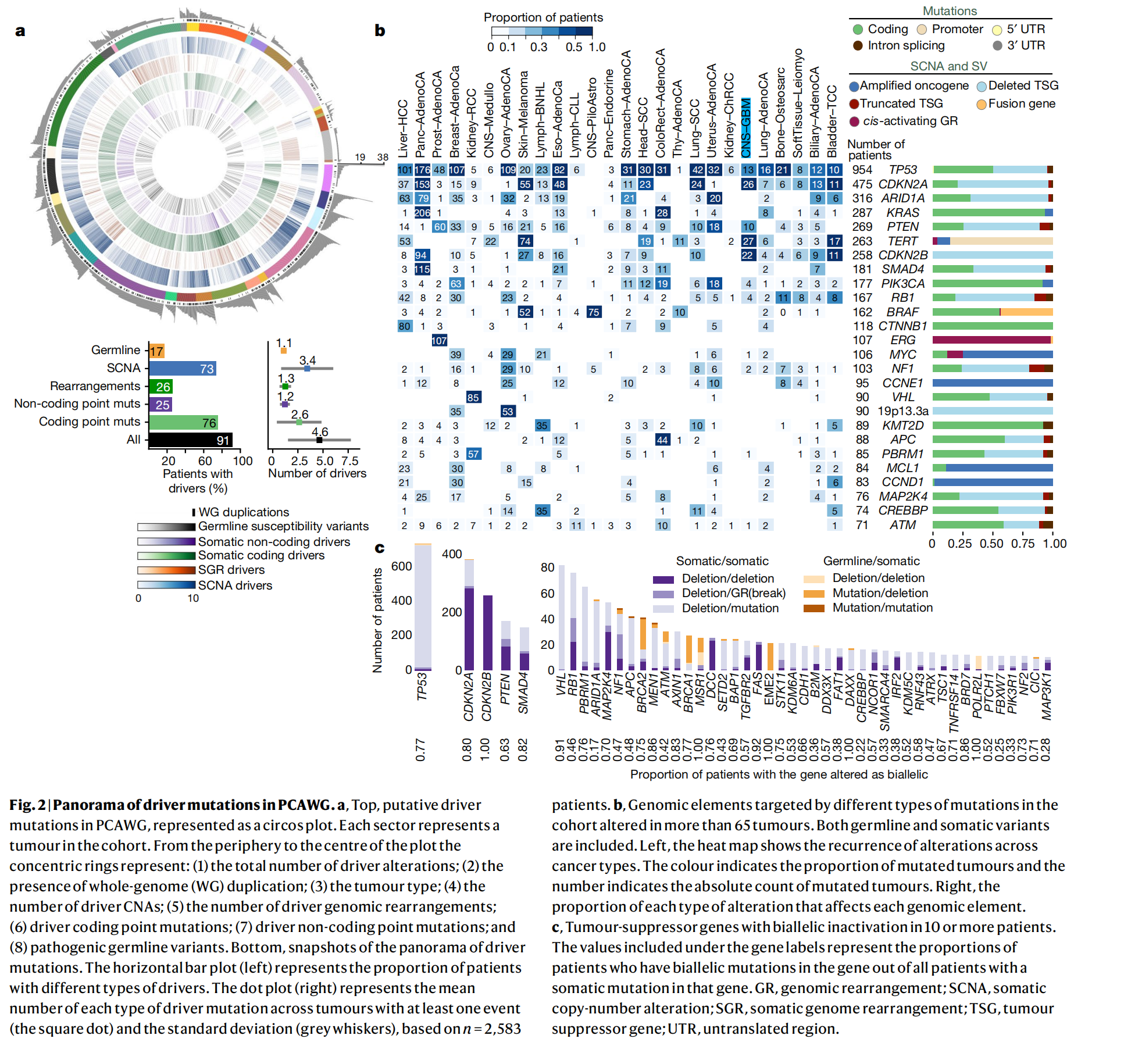 一、肿瘤全基因组分析概况（Pan-cancer analysis of whole genomes，PCAWG）_mutect2 知乎-CSDN博客