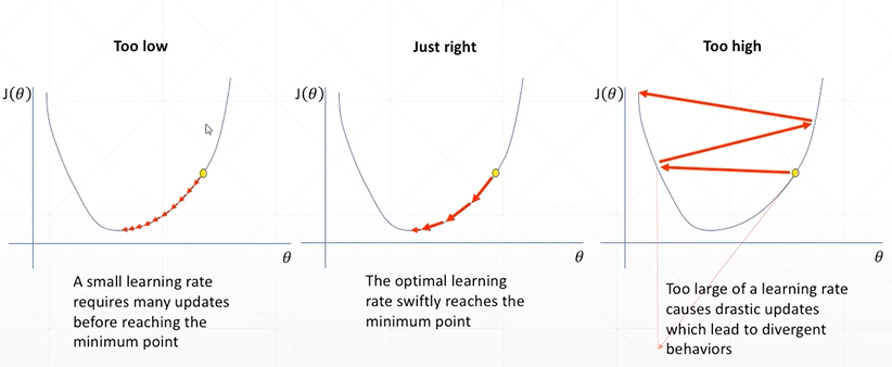 使用Pytorch实现学习率衰减/降低（learning rate decay）_pytorch学习率衰减的实现-CSDN博客