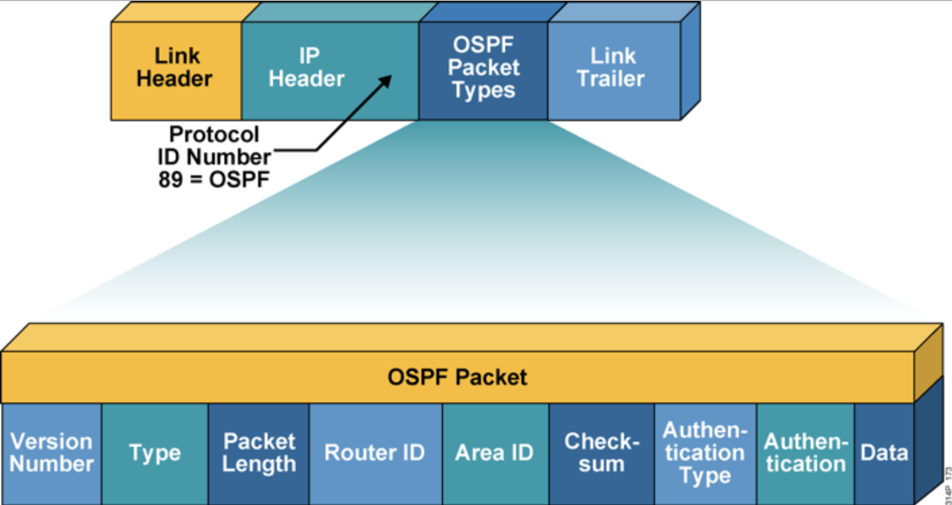 OSPF报文类型、五类数据包详解_Bennettzhen的博客-CSDN博客