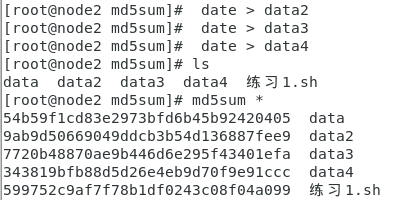shell---安全校验md5_shell md5校验-CSDN博客