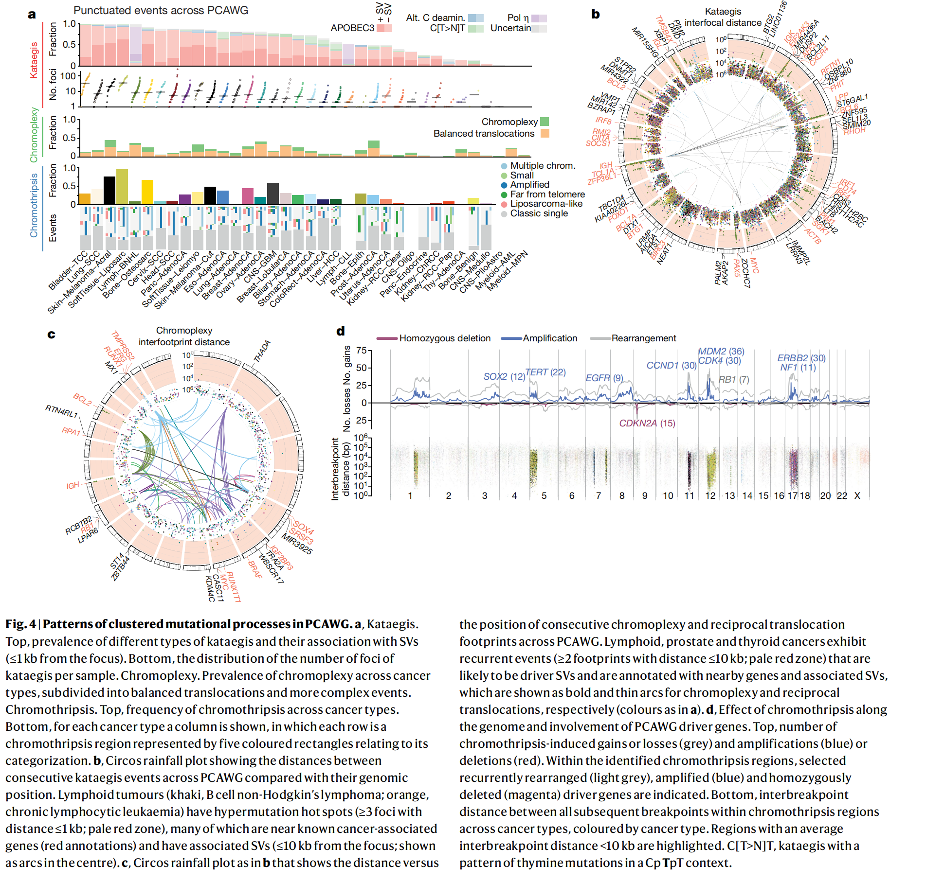一、肿瘤全基因组分析概况（Pan-cancer analysis of whole genomes，PCAWG）_mutect2 知乎-CSDN博客