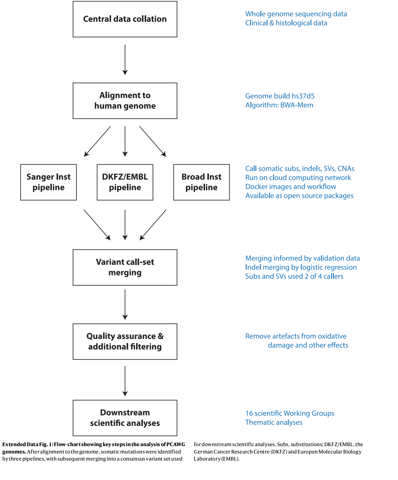 一、肿瘤全基因组分析概况（Pan-cancer analysis of whole genomes，PCAWG）_mutect2 知乎-CSDN博客