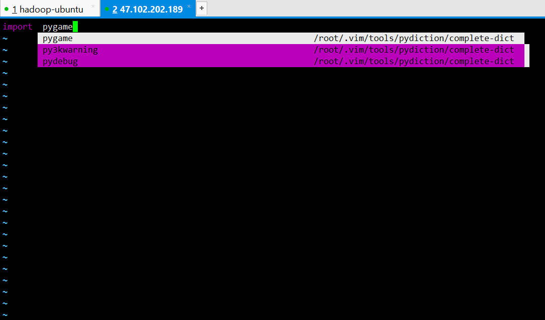 如何使用vim编辑器打造pythonide，实现代码自动补全，自动缩进等python Idle 能否使用vim插件 Csdn博客