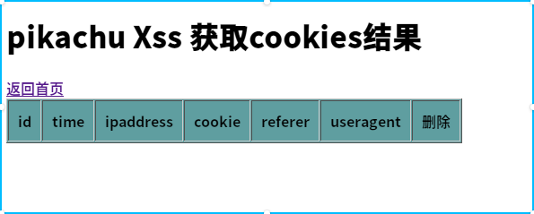 PiKachu之XSS（跨站脚本）_xss注入跳转网页-CSDN博客