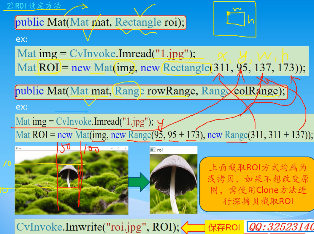 11-ROI与Mask掩码_roi mask-CSDN博客