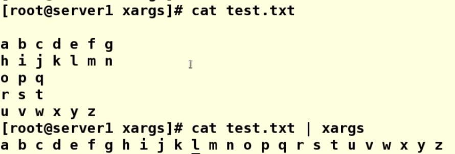 shell常用命令—xargs命令_xargs 换行-CSDN博客