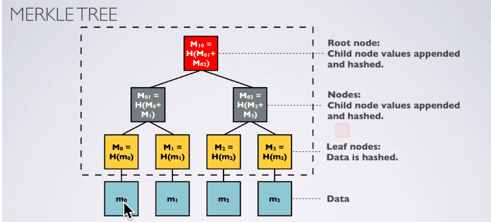 简单了解默克尔（Merkle）树_merkle树-CSDN博客