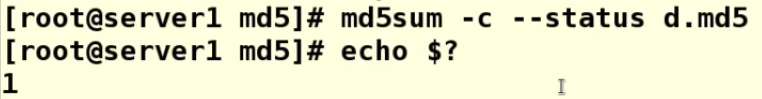 Linux安全校验—md5sum_cat $1|md5sum -b-CSDN博客
