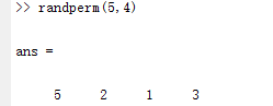 Matlab——rand,randn,randi,randperm用法小结_randperm(n)-CSDN博客