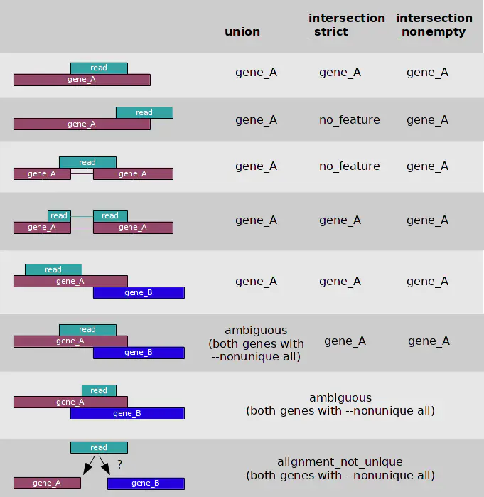 第二章 RNA-seq一般分析流程全套_condarna测序分析入门-CSDN博客