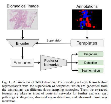 论文分享 T-Net: A Template-Supervised Network for Task-specific-CSDN博客