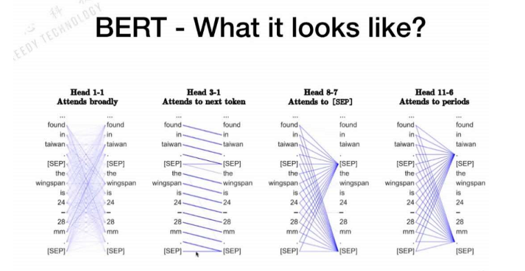 ALBERT模型的理解-CSDN博客